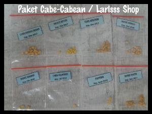 Paket 10 macam jenis cabe - pangkalan jaya